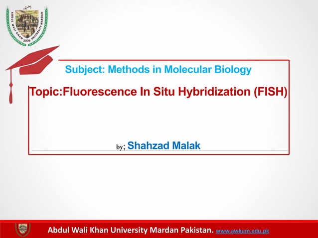 FISH technique.pptx | Genetics | Science