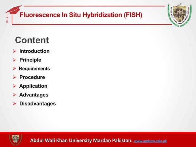 FISH technique.pptx | Genetics | Science