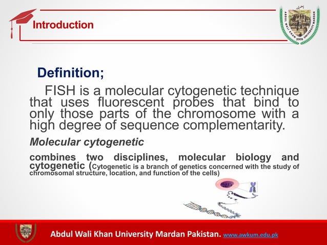 FISH technique.pptx | Genetics | Science