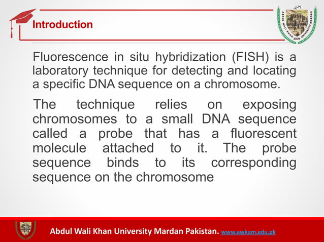 FISH technique.pptx | Genetics | Science