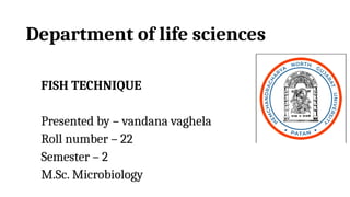 FISH presentation from hngu university (department of life science) | PPTX