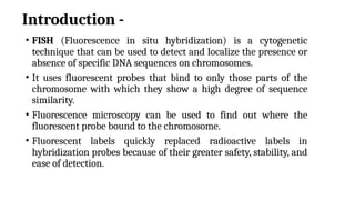 FISH presentation from hngu university (department of life science) | PPTX