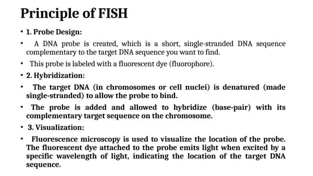 FISH presentation from hngu university (department of life science) | PPTX