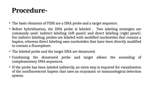 FISH presentation from hngu university (department of life science) | PPTX