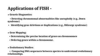 FISH presentation from hngu university (department of life science) | PPTX