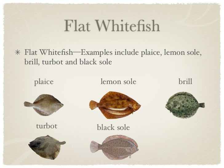 Fish topic nivoshan mahendran