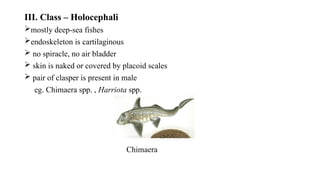 Taxanomy of major cultivated and Indigenous fish of Nepal | PPTX