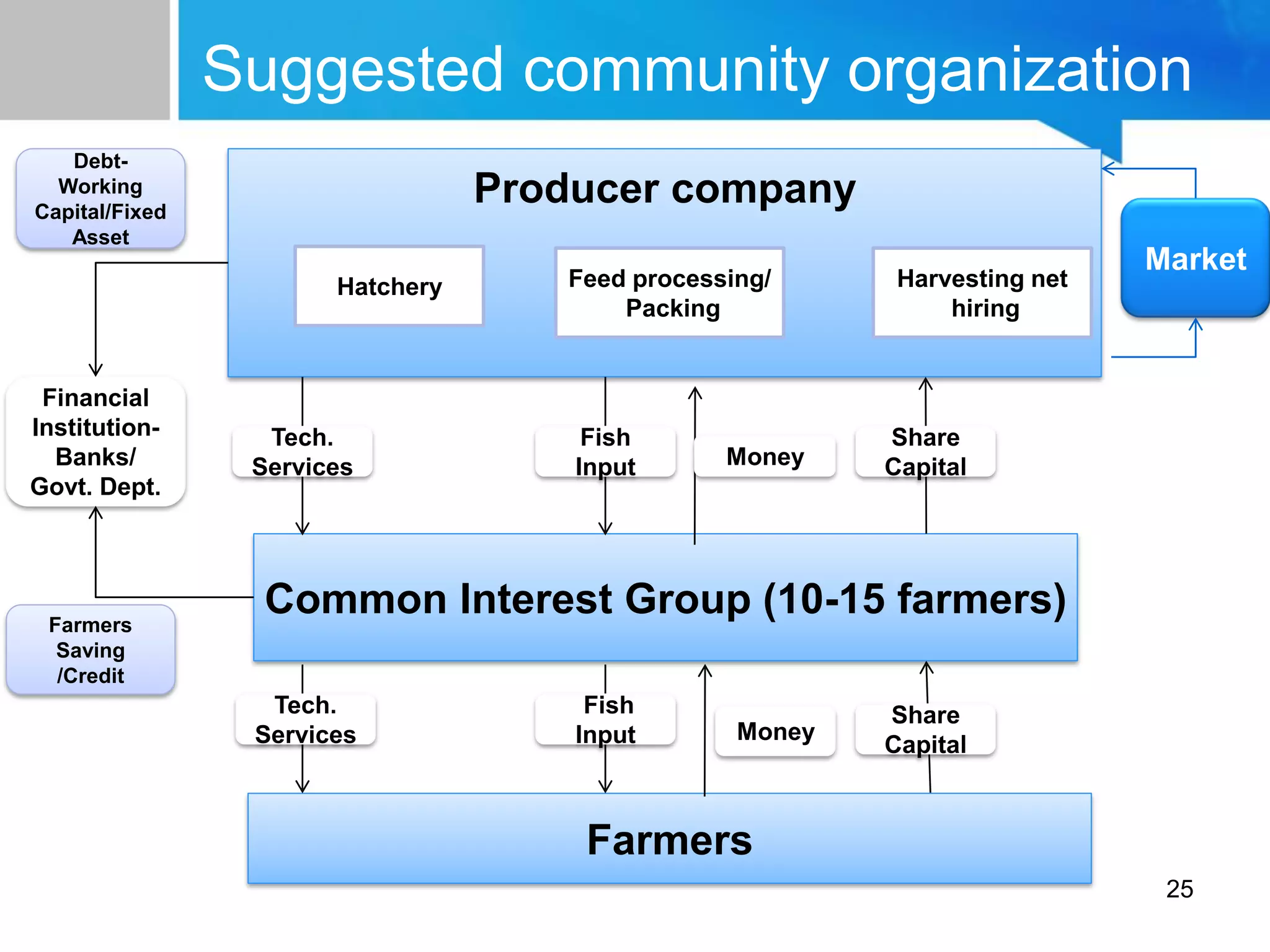 Fish value chain 2 | PDF