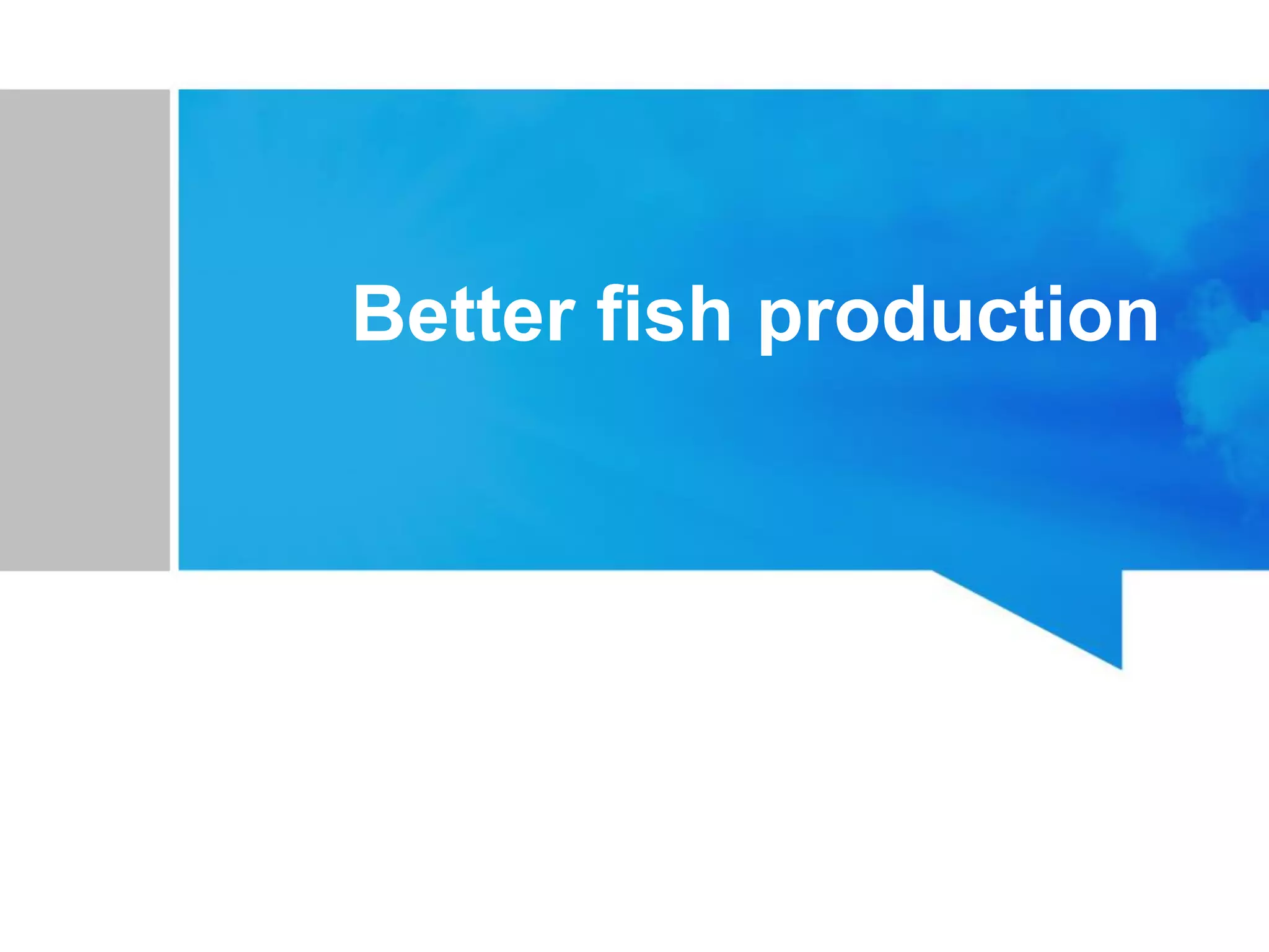 Fish value chain 2 | PDF
