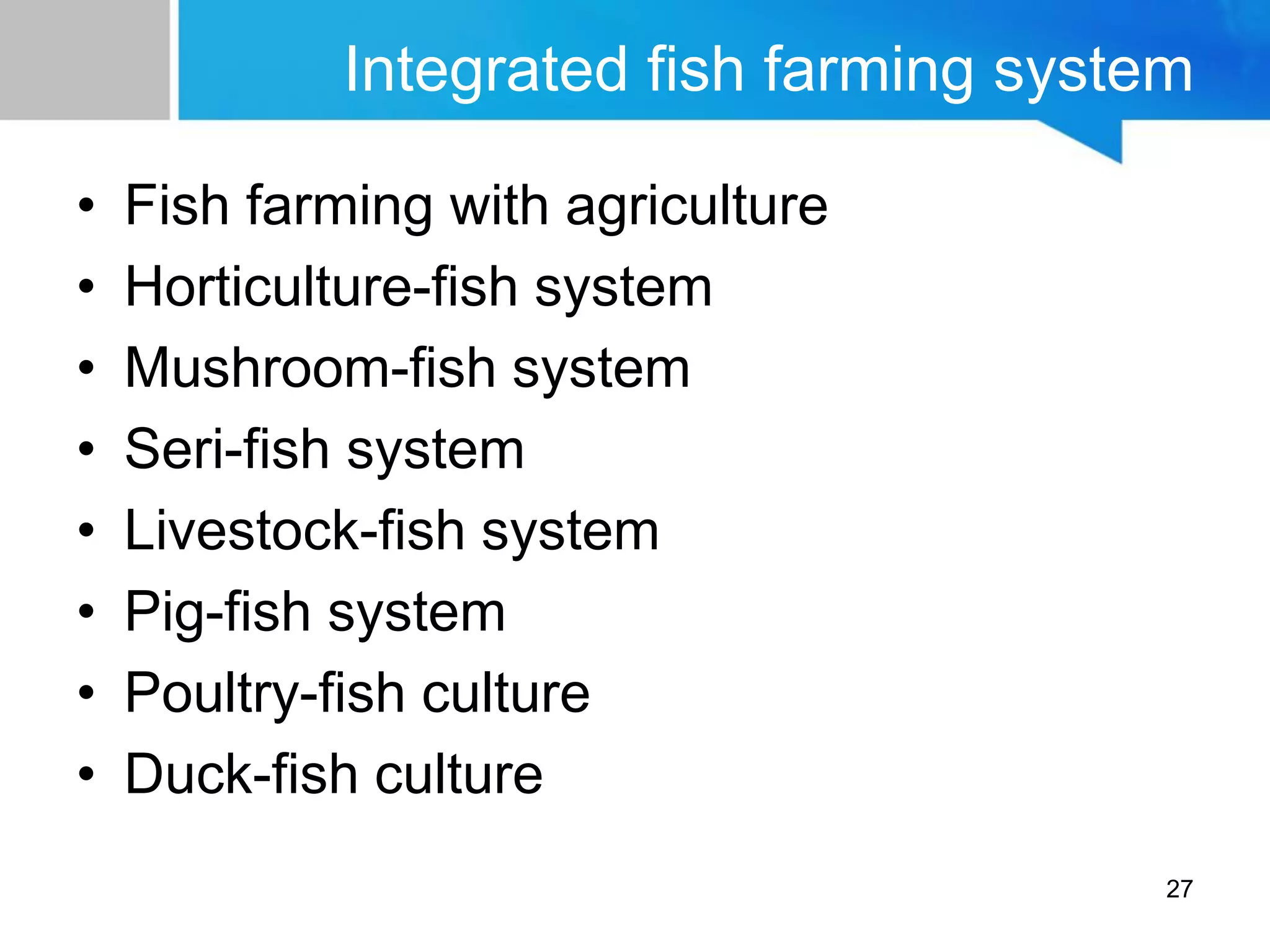 Fish value chain 2 | PDF