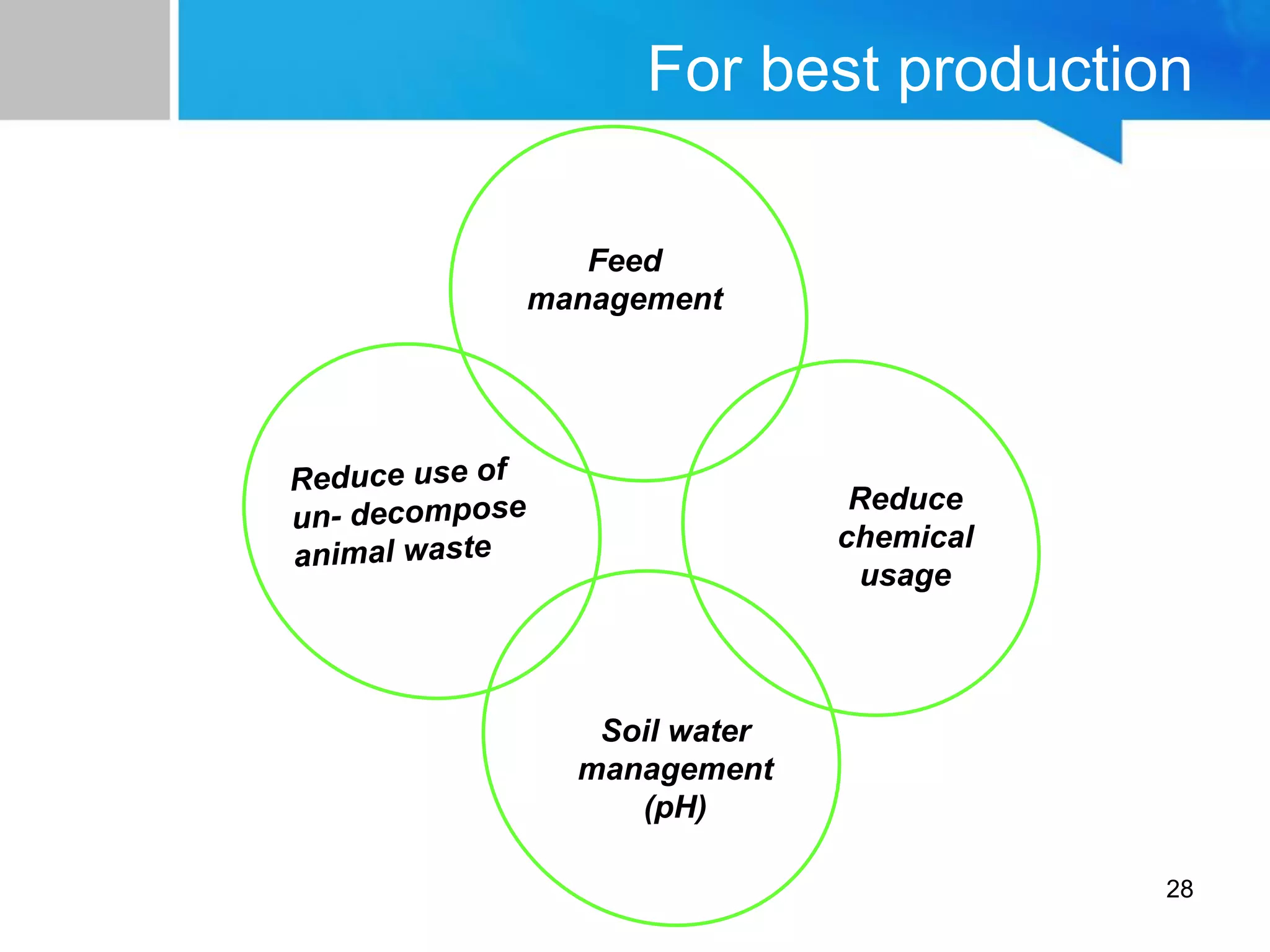 Fish value chain 2 | PDF