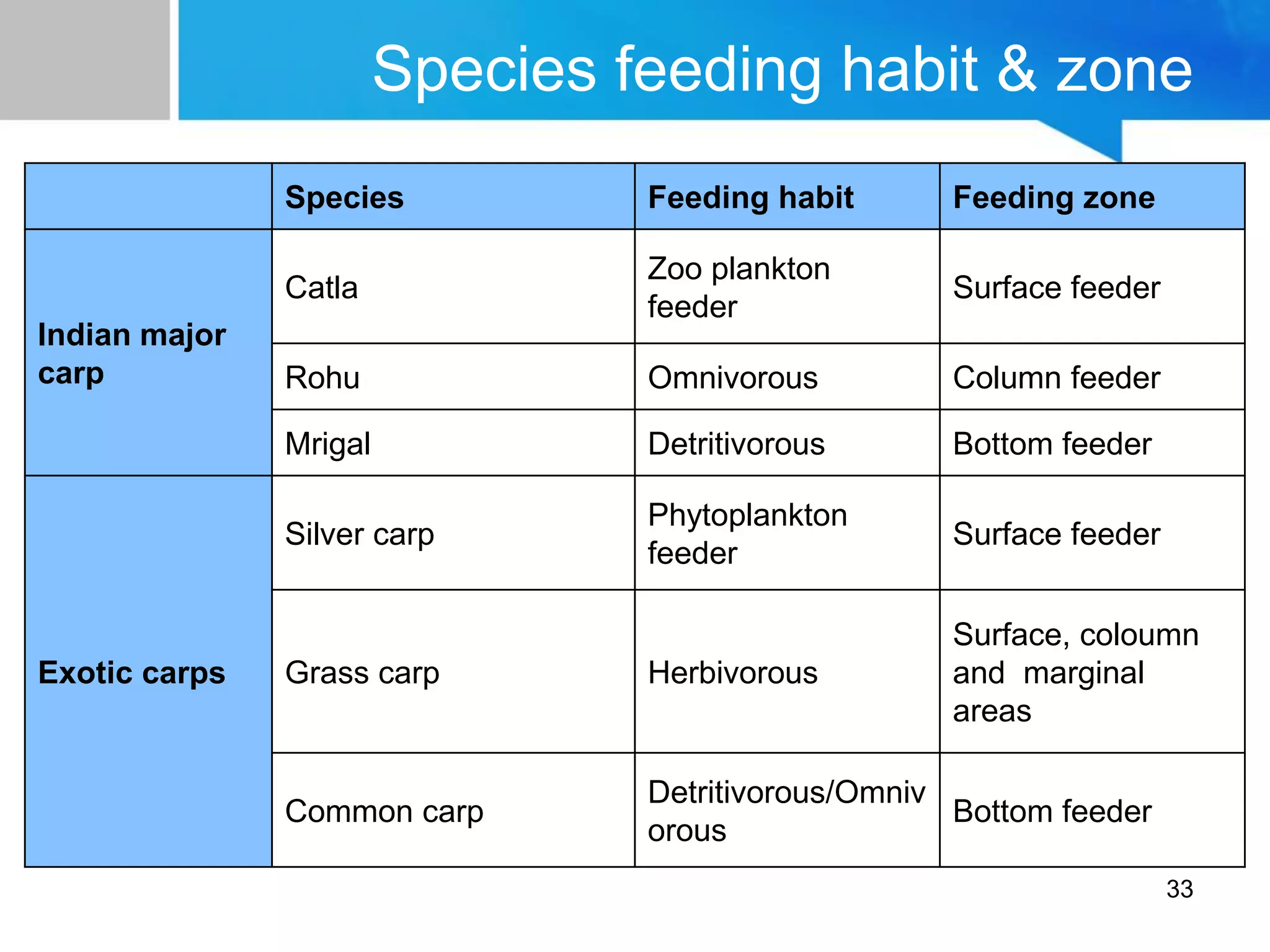 Fish value chain 2 | PDF