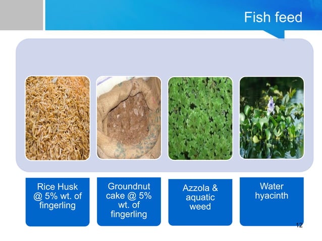 Fish value chain 2 | PDF | Agriculture | Industries