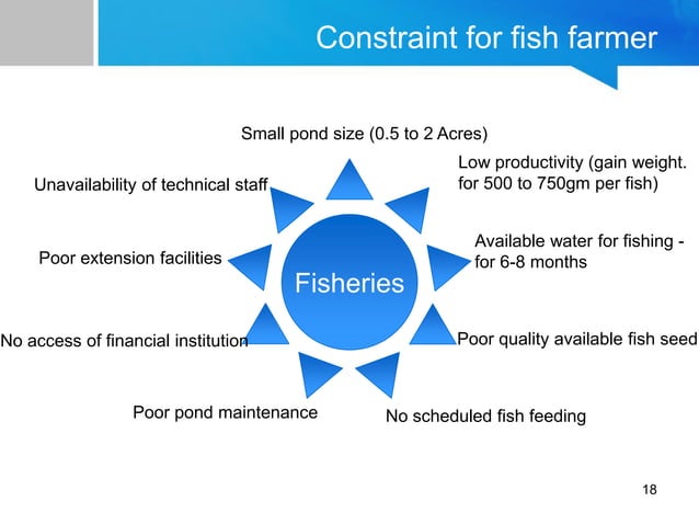 Fish value chain 2 | PDF | Agriculture | Industries
