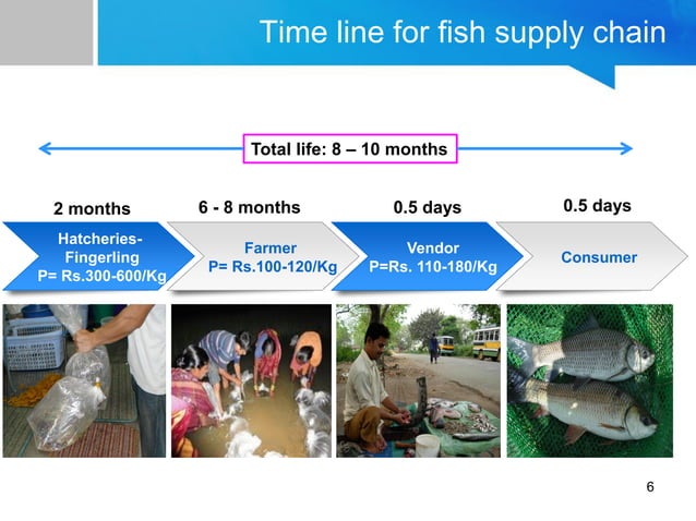 Fish value chain 2 | PDF | Agriculture | Industries