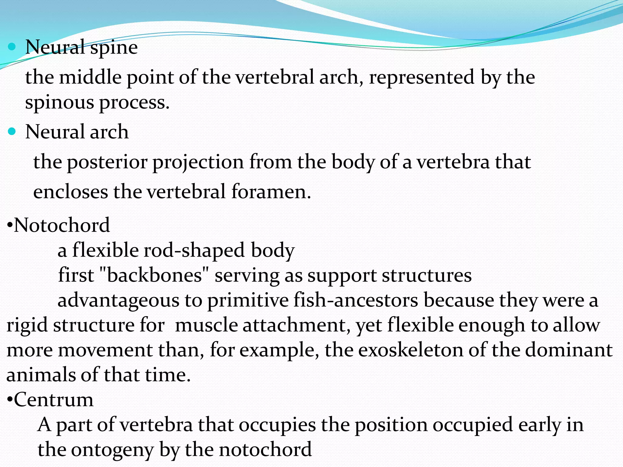 Fish vertebral column | PPTX