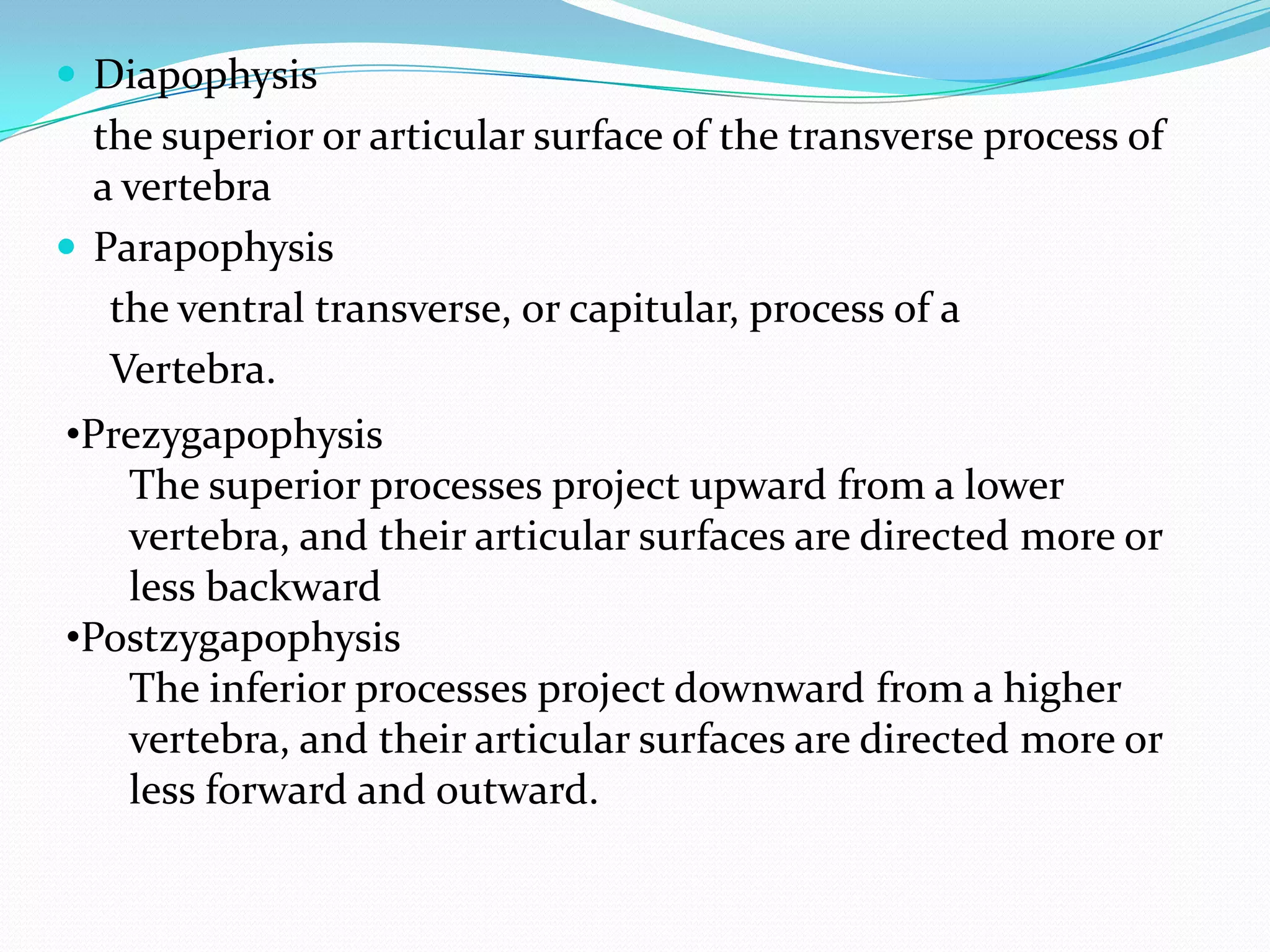 Fish vertebral column | PPTX