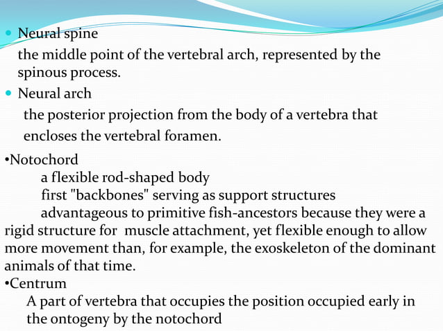 Fish vertebral column | PPTX
