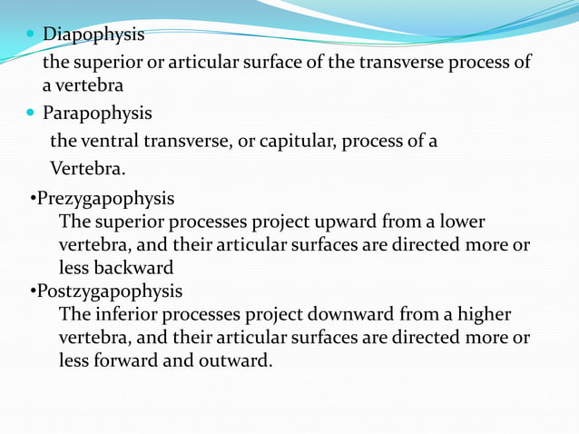 Fish vertebral column | PPTX