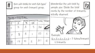 Fish Visual Census guide in identifying (1).pdf | Fish and Aquariums | Pets