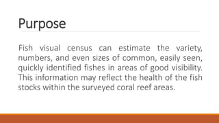Fish Visual Census guide in identifying (1).pdf | Fish and Aquariums | Pets