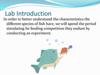 Fishy feeding frenzy powerpoint | PPTX