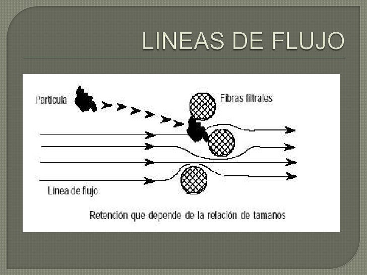 Fisica