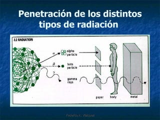 Fisica Nuclear | PPS