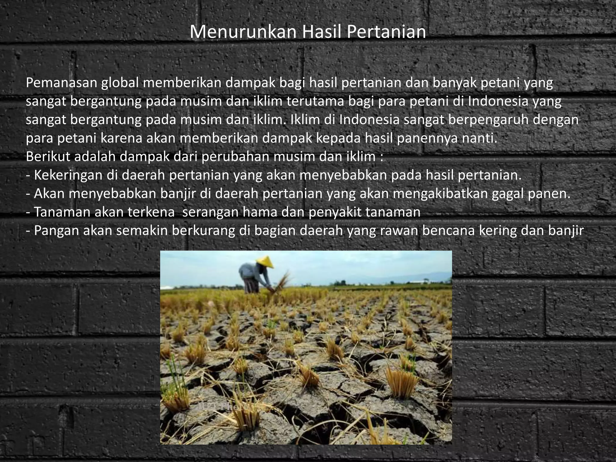 PowerPoint Pemanasan Global (Global Warming) kelas 11 | PPTX