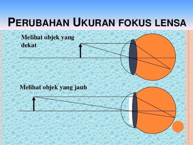 Mata Pelajaran Fisika Alat-alat Optik dan Pembentukkan bayangan | PPTX