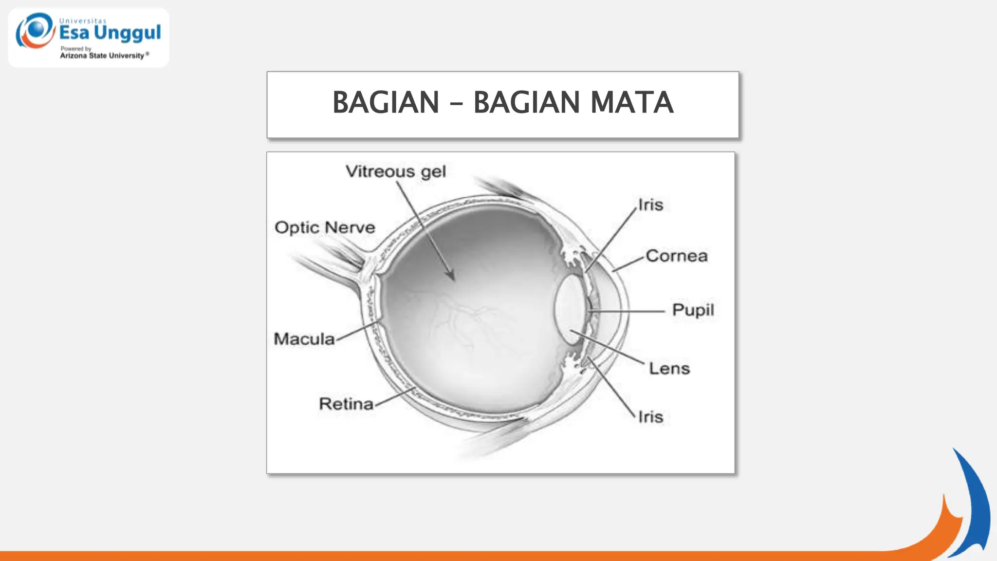 Materi Fisika Bioteknologi Pertemuan Ke-10 | PPT