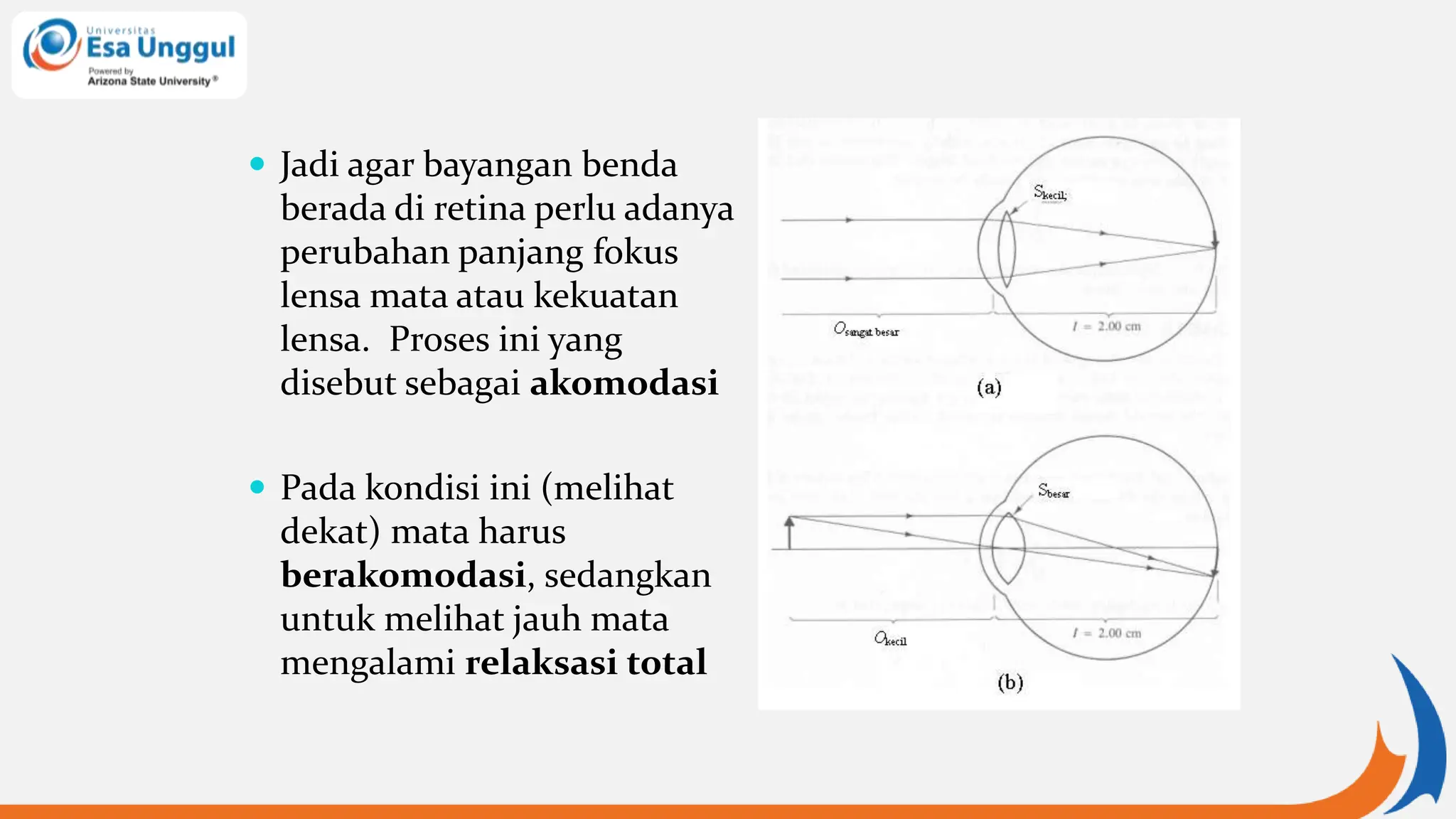 Materi Fisika Bioteknologi Pertemuan Ke-10 | PPT
