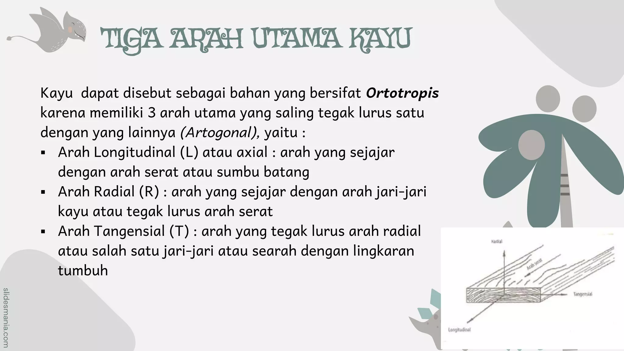 Fisika Kayu Penampilan Kayu.pptx