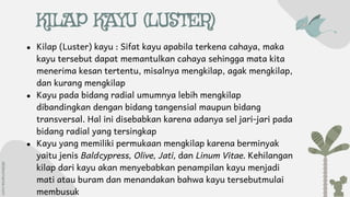 Fisika Kayu Penampilan Kayu.pptx