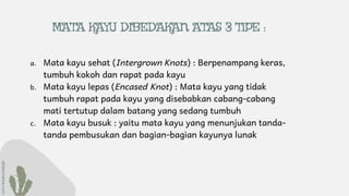 Fisika Kayu Penampilan Kayu.pptx