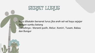 Fisika Kayu Penampilan Kayu.pptx