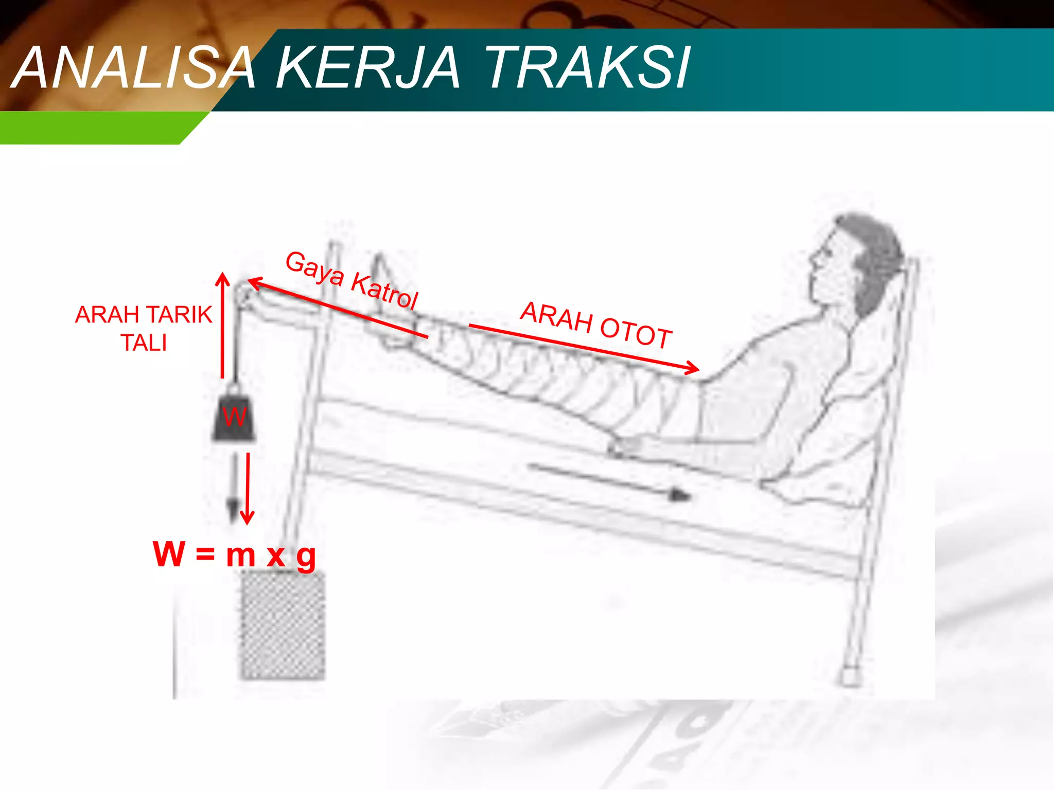 Fisika kesehatan biomekanika dan panas | PPTX