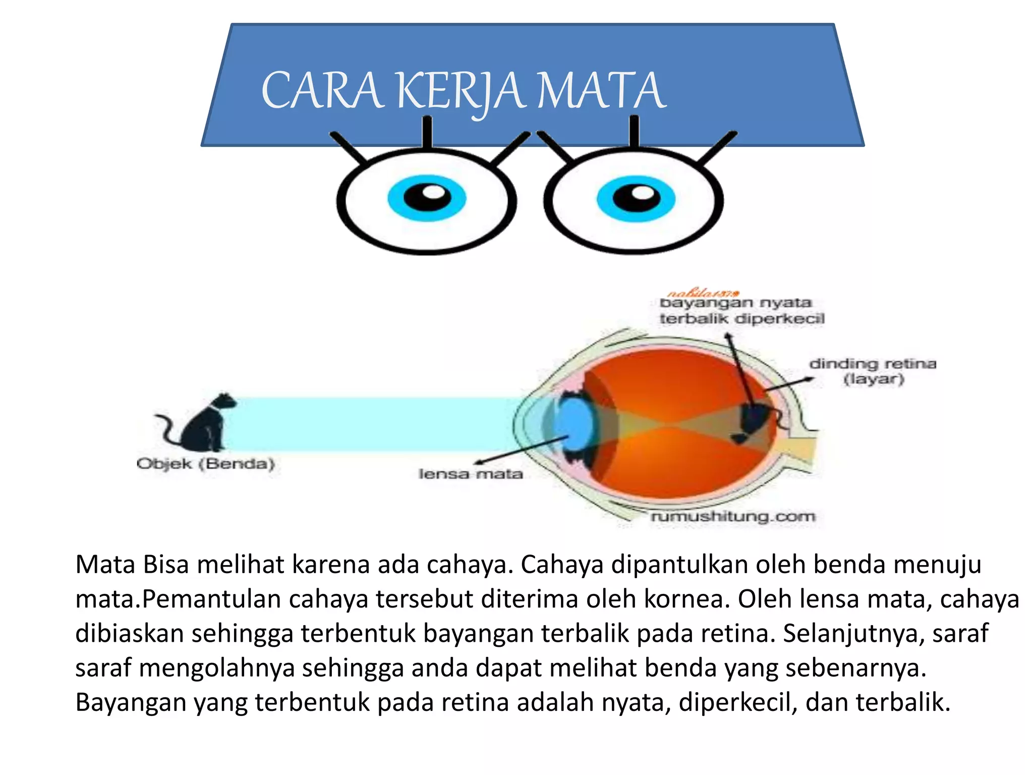 PPT FISIKA : MATA DAN KACAMATA | PPTX