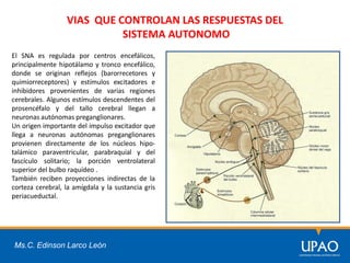 Fisio - SISTEMA NERVIOSO AUTONOMO | PDF