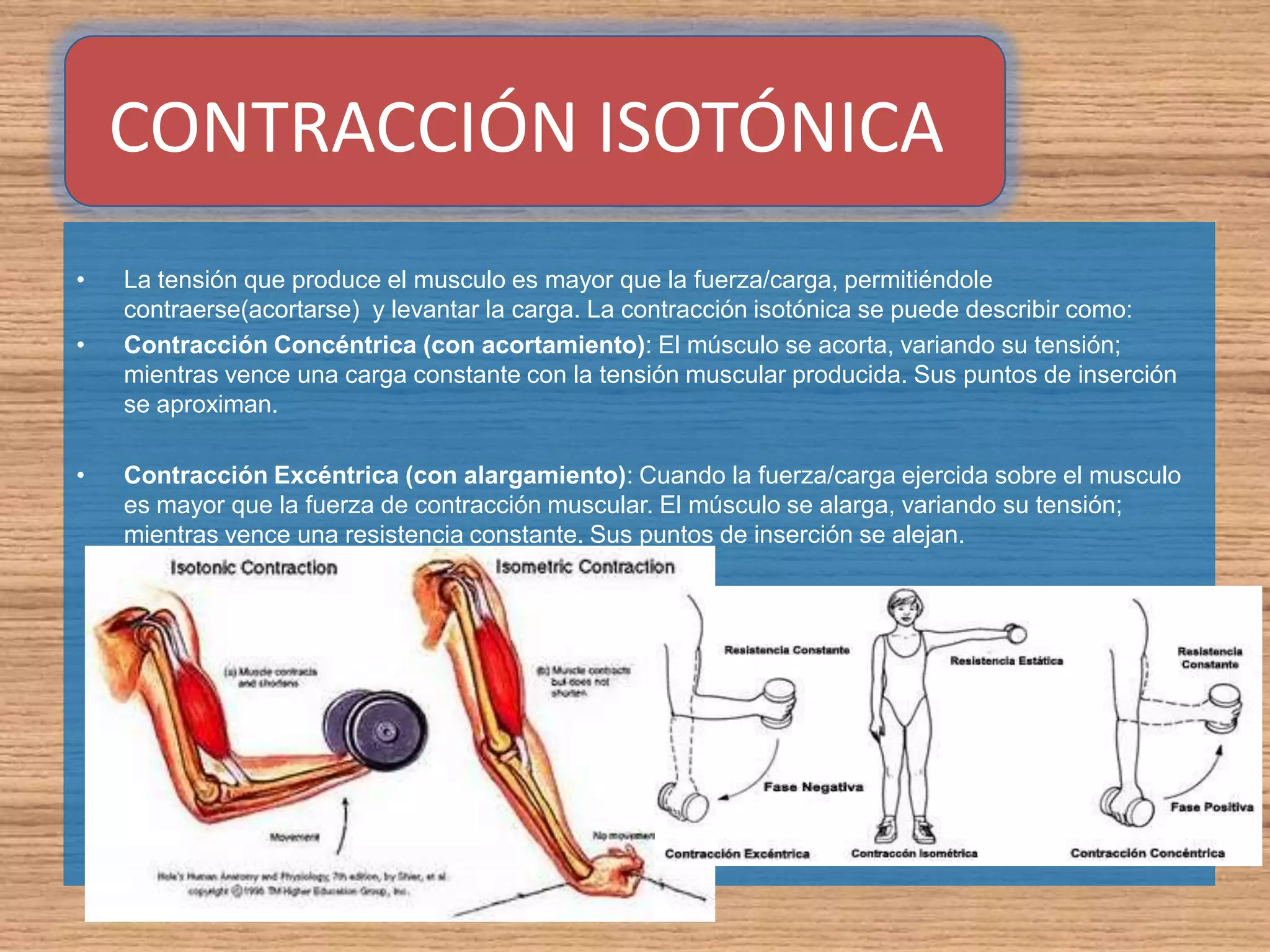 Fisio tipos de contracción muscular | PPTX