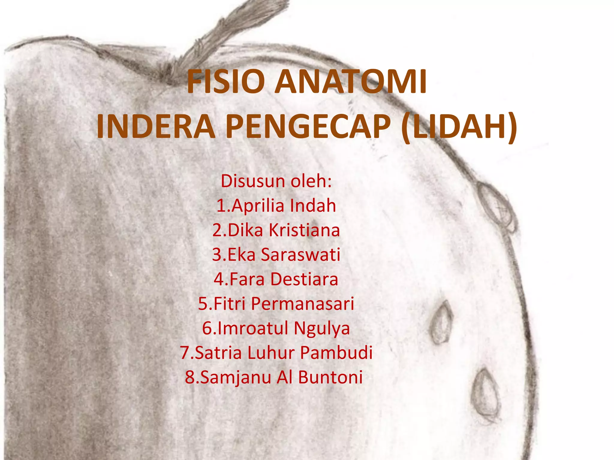 Fisio anatomi (indera pengecap) | PPS