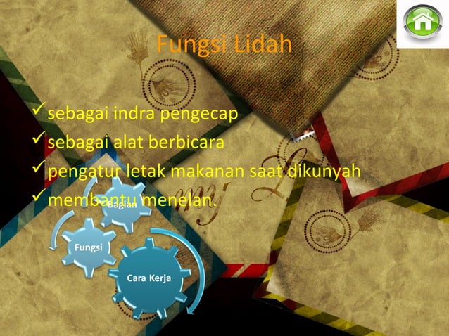Fisio anatomi (indera pengecap) | PPS