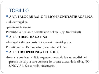 Fisioarticular tobillo | PPT
