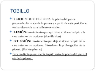 Fisioarticular tobillo | PPT