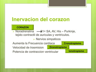 MECANISMOS REGULADORES CARDIOVASCULARES Fisiologia ganon cap 32 | PPTX