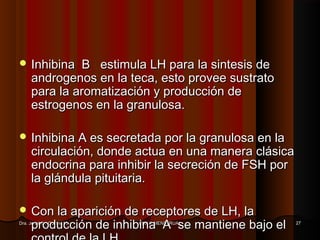 Fisio ciclo menstrual | PPT