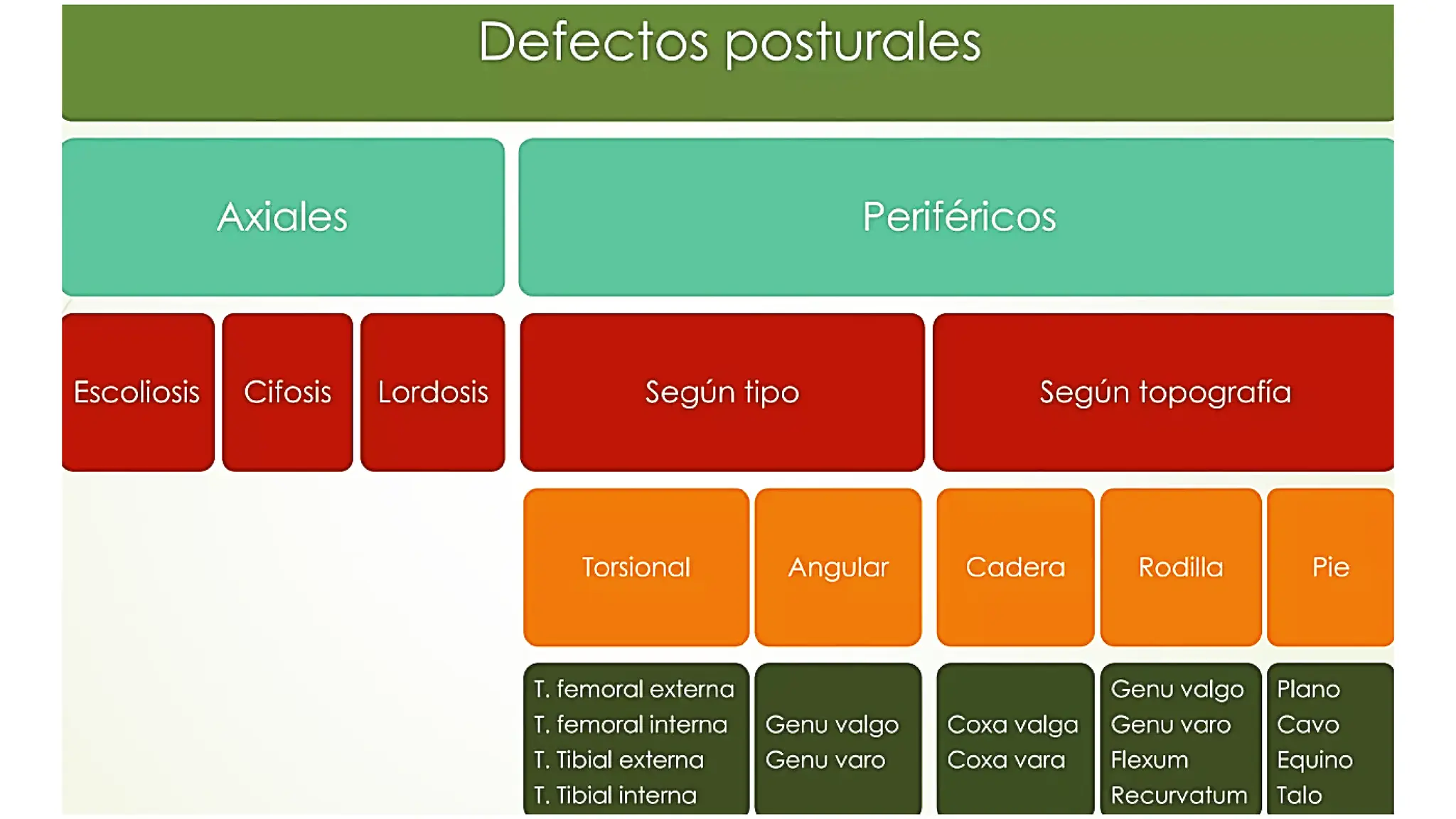 FISIO DE EJERCICIO Y DEFECTOS POSTURALES.pdf