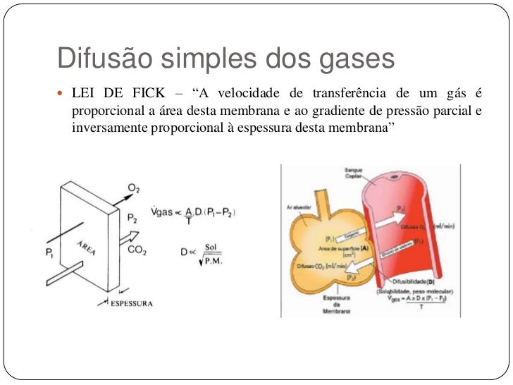 Fisiologia Pulmonar: Difusão