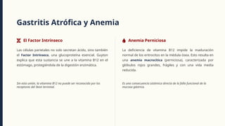 Fisiopatología Completa de la Gastritis: Desde la Barrera Gástrica ...