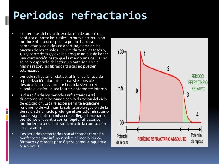 Unidad 1. Corazon - Fisiologia del Musculo Cardiaco